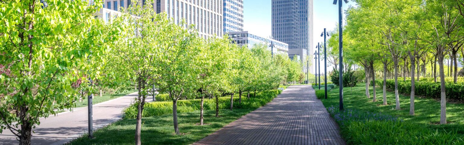 Key Components of Green and Sustainable Cities